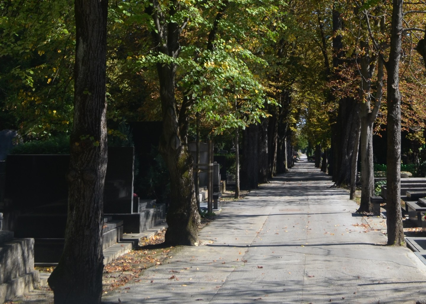 Stroll in a cemetery that is worth a thousand pictures ...